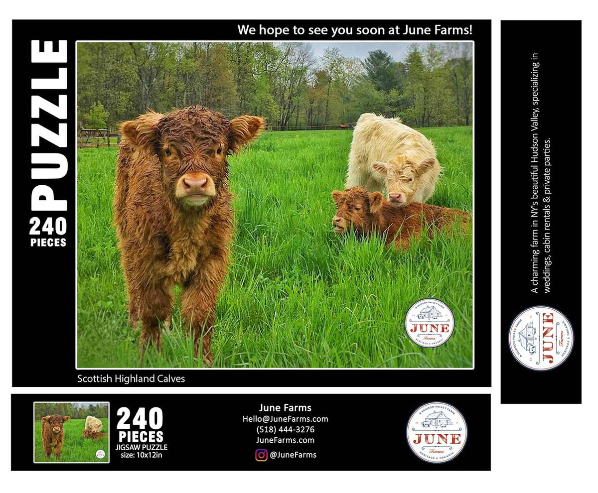 June Farms Puzzles – June Farms General Store